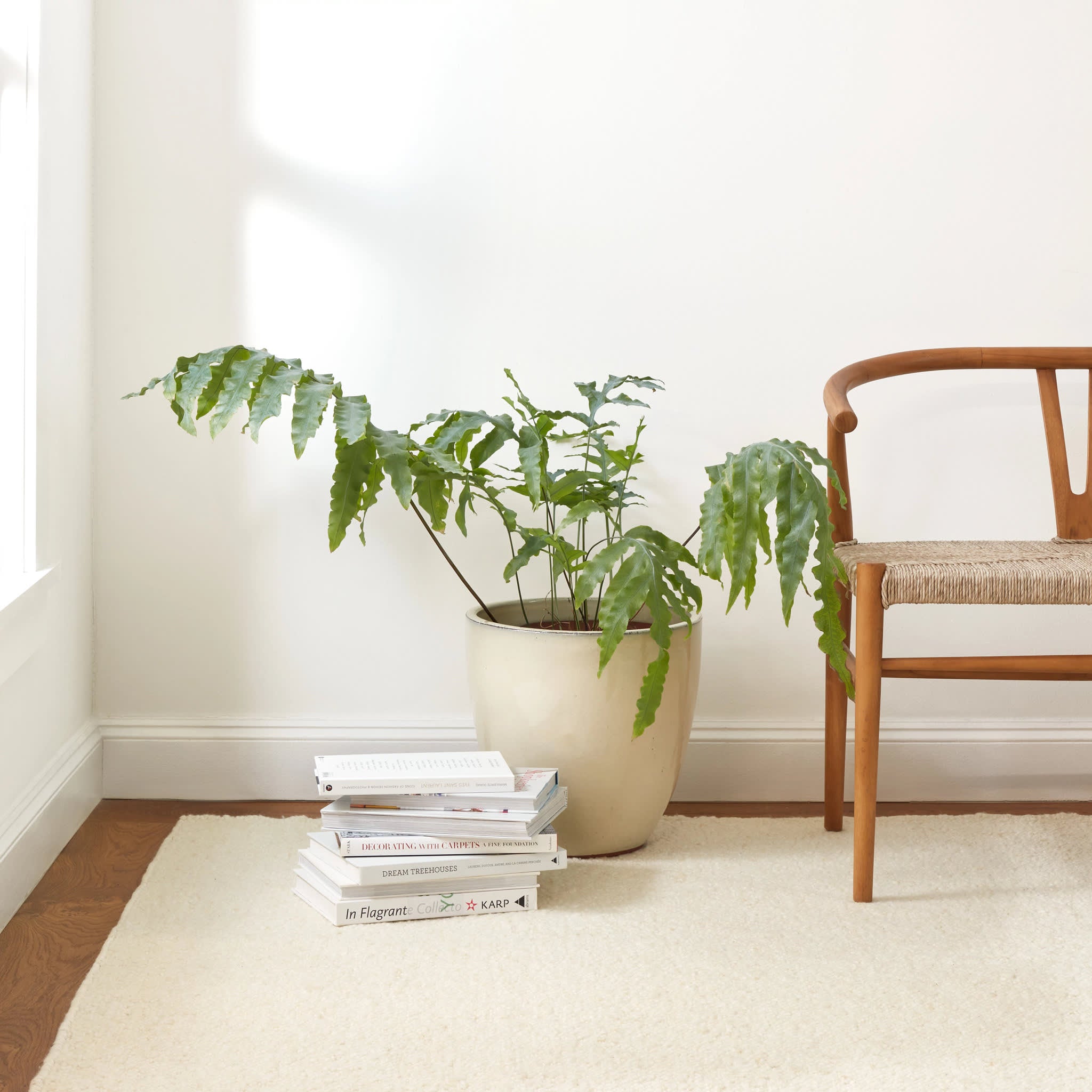 Holmstead Ivory Handwoven Wool Rug – Annie Selke