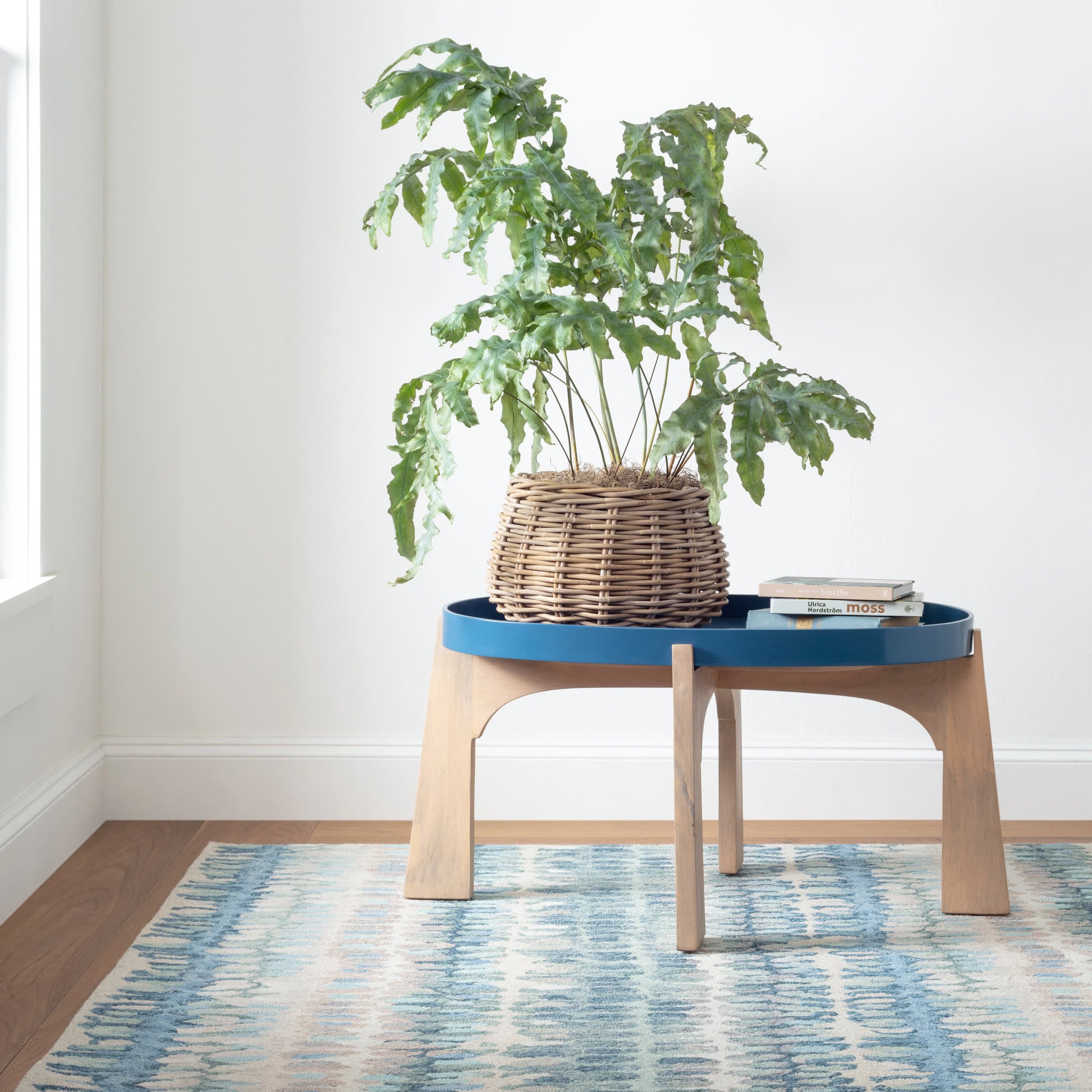 Paint Chip Hand Micro Hooked Wool Rug | Blue – Annie Selke