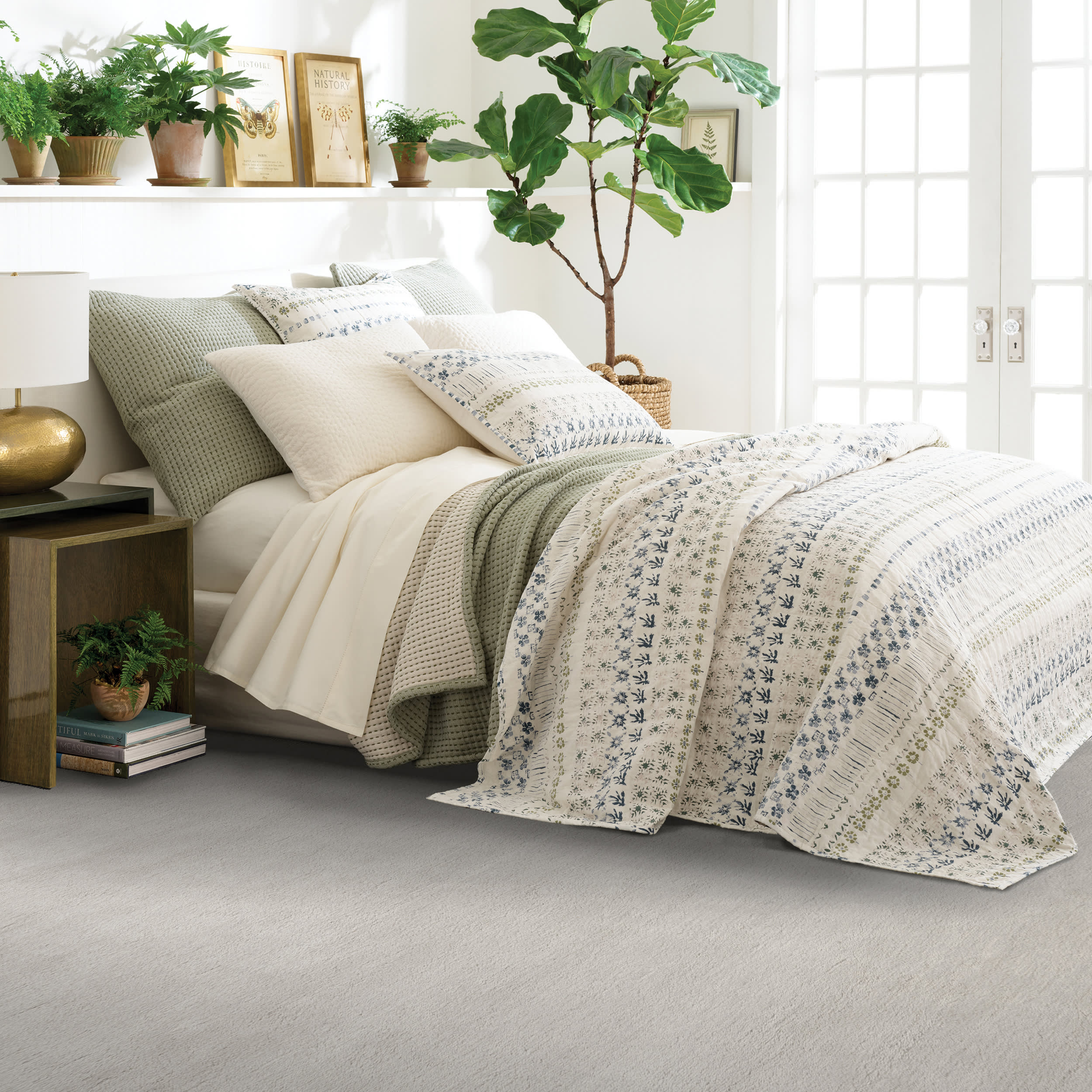 Gaia New Zealand Wool Shag Rug | Ivory – Annie Selke