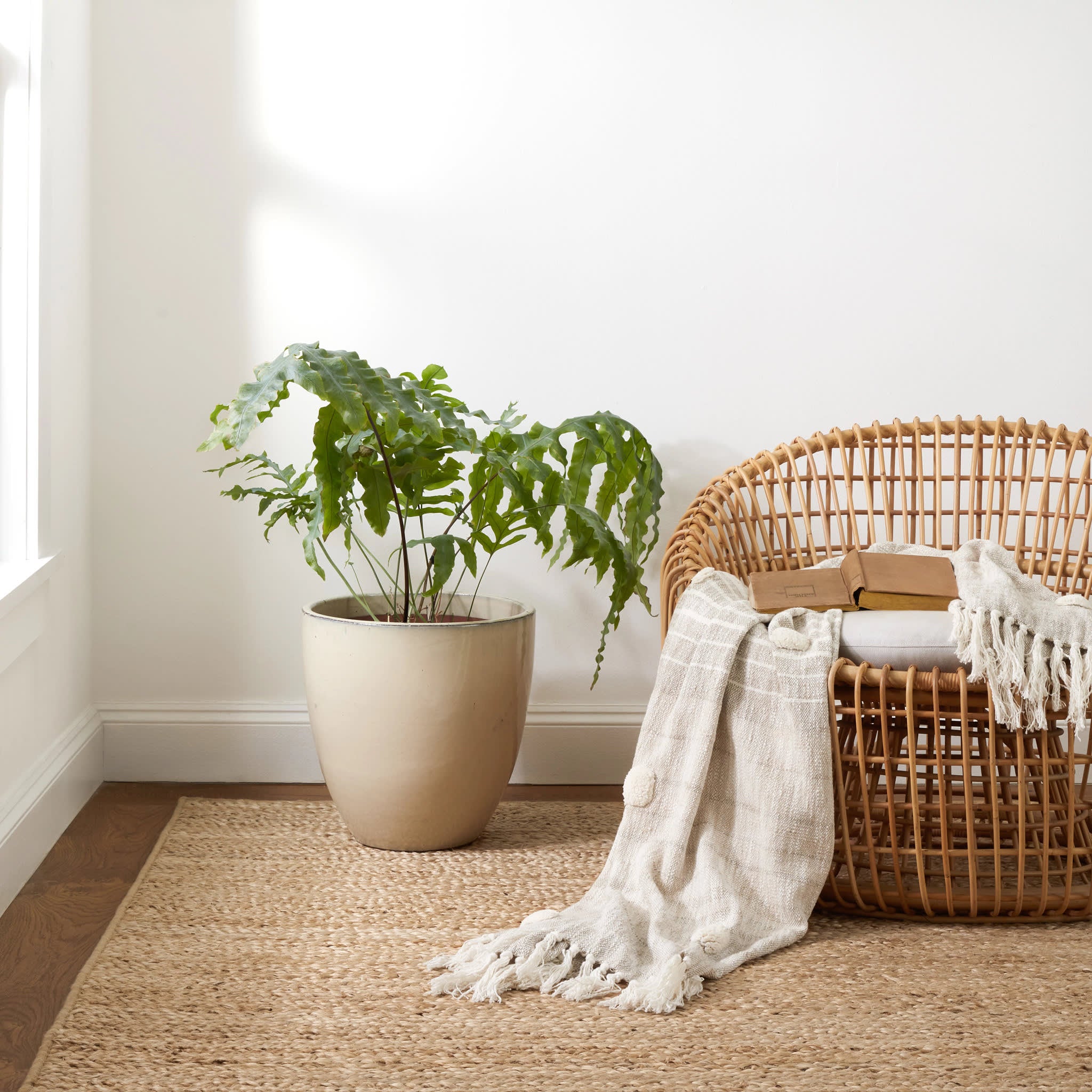 Collins Braided Woven Jute Custom Rug | Natural – Annie Selke